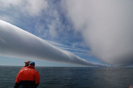 Mysterious Morning Glory Cloud Formation | Amusing Planet Mysterious Morning Glory Cloud Formation | Amusing Planet